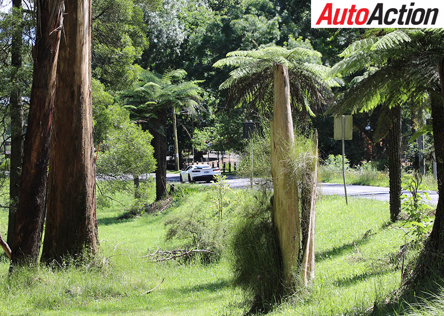 Chevrolet Corvette E-Ray forest road - Auto Action
